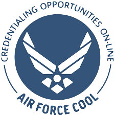 DOD Cool Programs – McAfee Institute